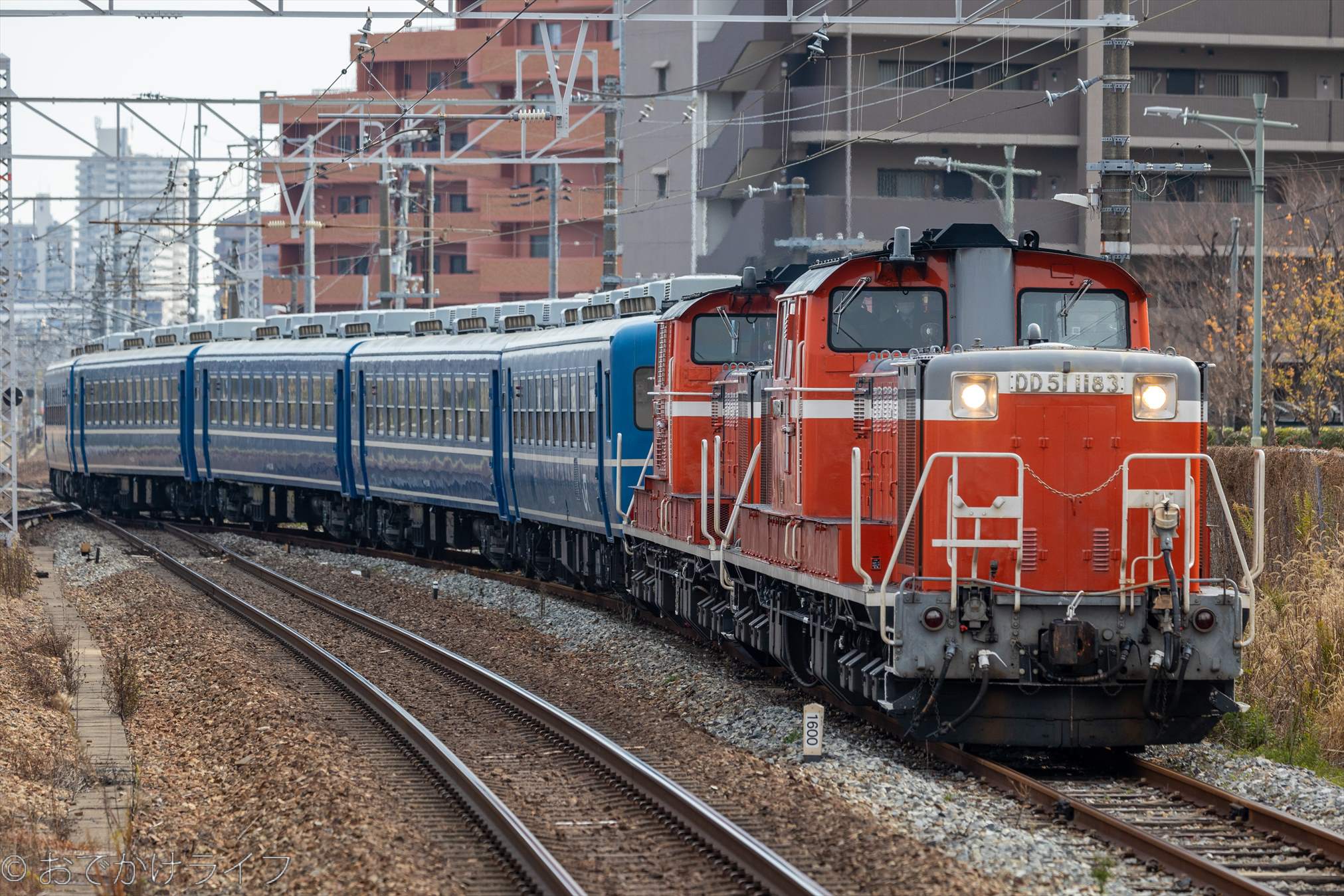 【撮影記】 DD51重連の通称「網干訓練」の撮影に行ってきた(2022.12.28) | おでかけライフ